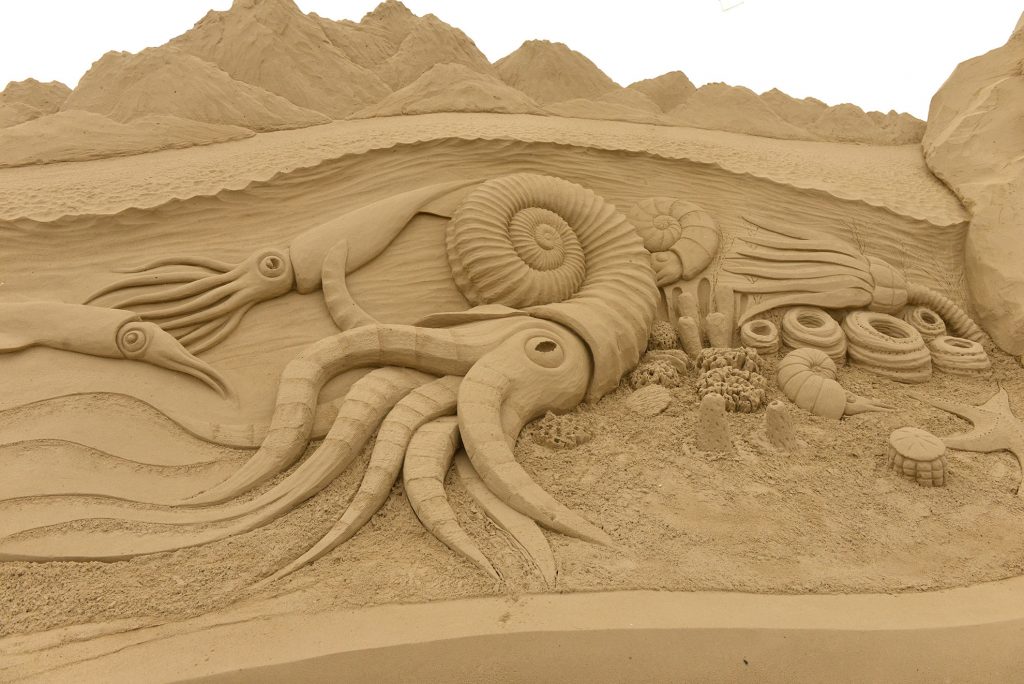 Gallery – Sandworld Visitor Attraction Weymouth
