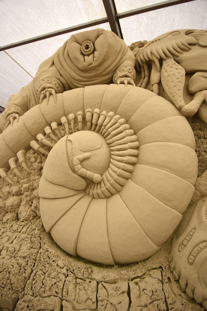 Gallery – Sandworld Visitor Attraction Weymouth