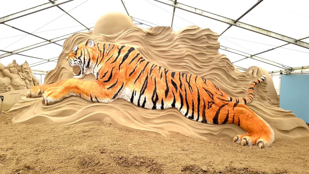 Gallery – Sandworld Visitor Attraction Weymouth